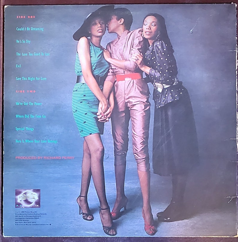 Pointer Sisters - Special Things - 1980 Vintage Vinyl LP - Etsy