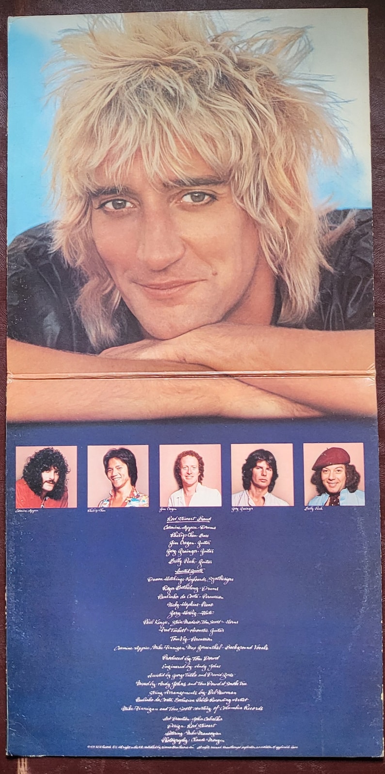 Rod Stewart : Blondes Have More Fun - 1978 Vintage Classic Rock Vinyl ...