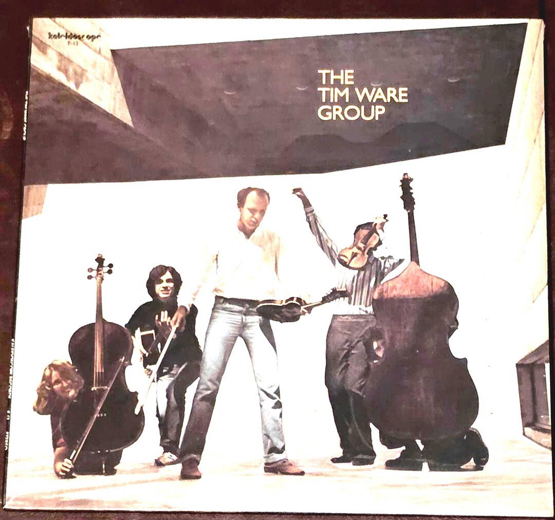 The Tim Ware Group - 1980 Vintage Folk Vinyl LP Record - Brand New ...