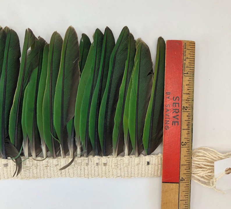 BRAZIL ABORIGINAL Feather Headdress Hand Made Guajajara People Maranhao ...