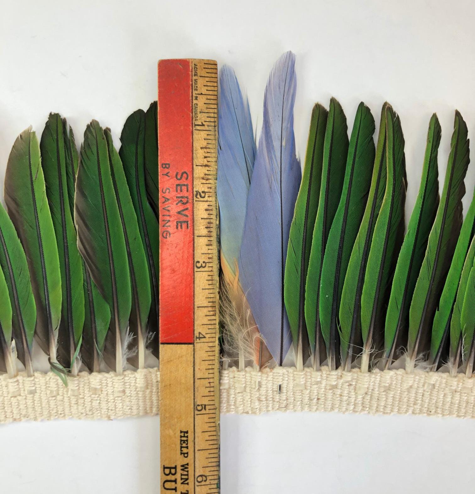 BRAZIL ABORIGINAL Feather Headdress Hand Made Guajajara People Maranhao ...