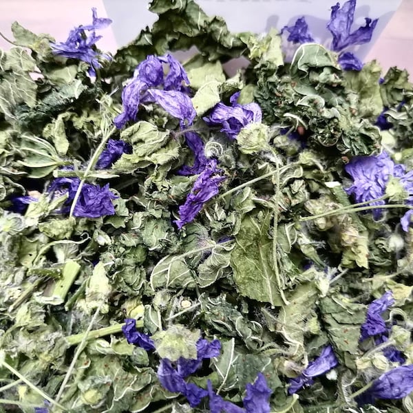 Common Mallow - Etsy