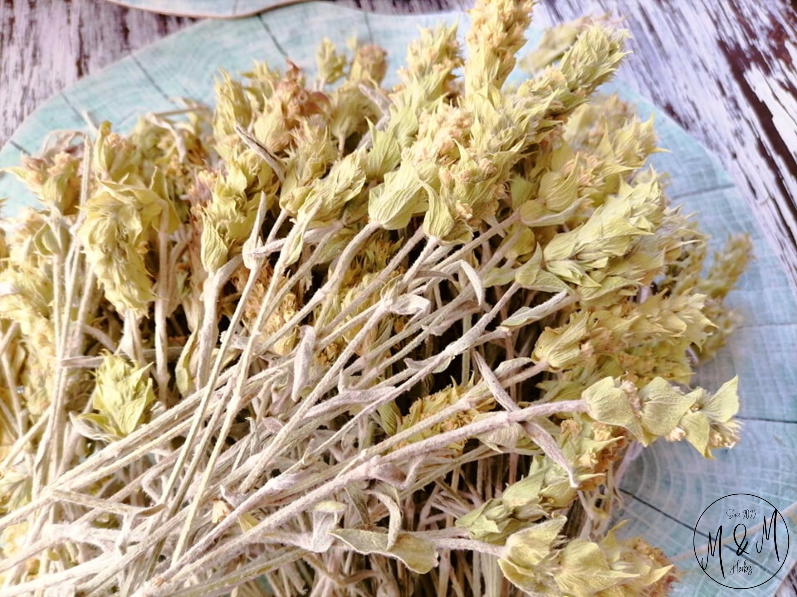 Mountain Tea Herb - Sideritis Scardica L./ Bulgarian, Mursalski Chai ...