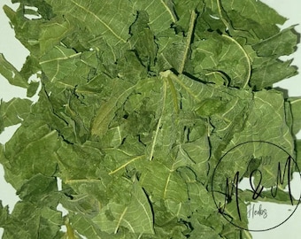 Fumitory Herb Fumaria Officinalis Dried Leaves Herbal Tea Dymnica - Etsy