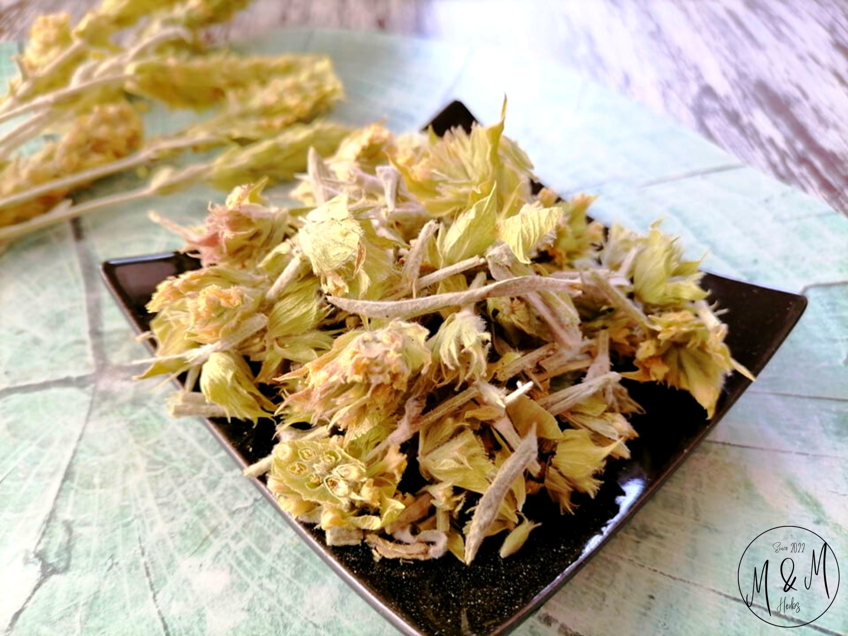 Mountain Tea Herb Sideritis Scardica L./ Bulgarian, Mursalski Chai ...