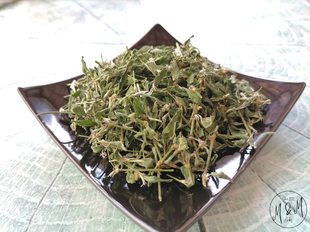 Knotgrass Herb - Polygonum Aviculare L. / Organic Dry and Cut / Herbal ...