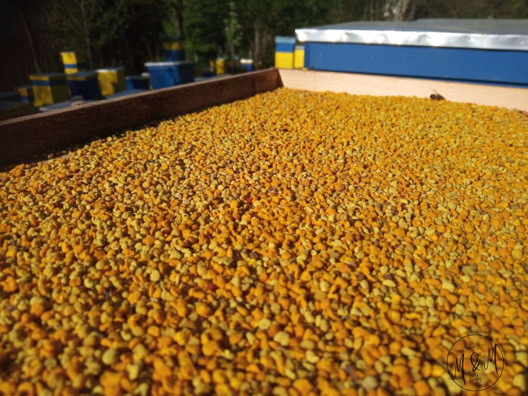 Edible Bee Pollen From Local Beekeeper / Organic Dry Bee Pollen ...