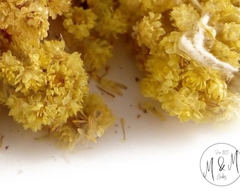 Life Everlasting Tea - Etsy