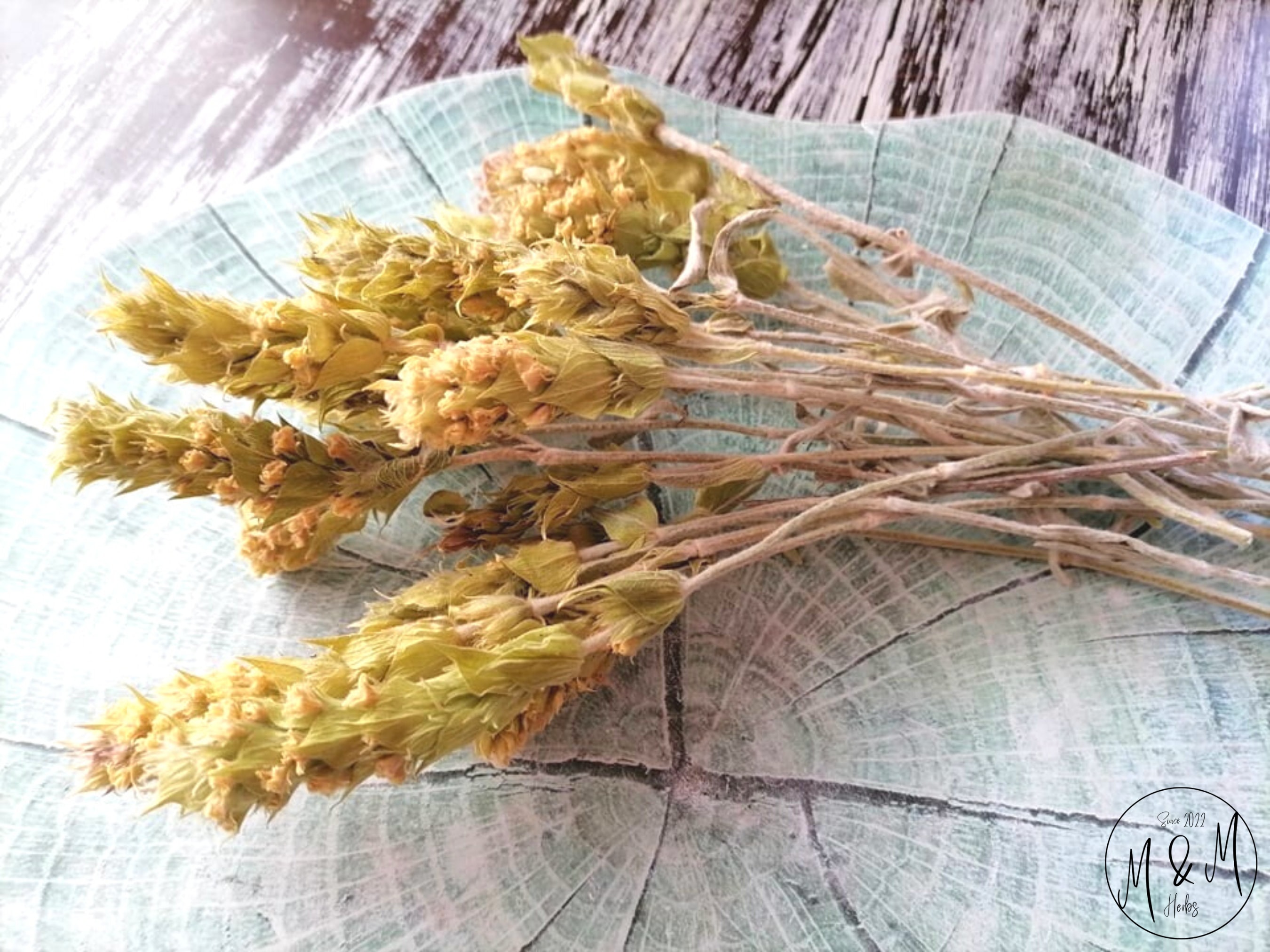 Mountain Tea Herb - Sideritis Scardica L./ Bulgarian, Mursalski Chai ...