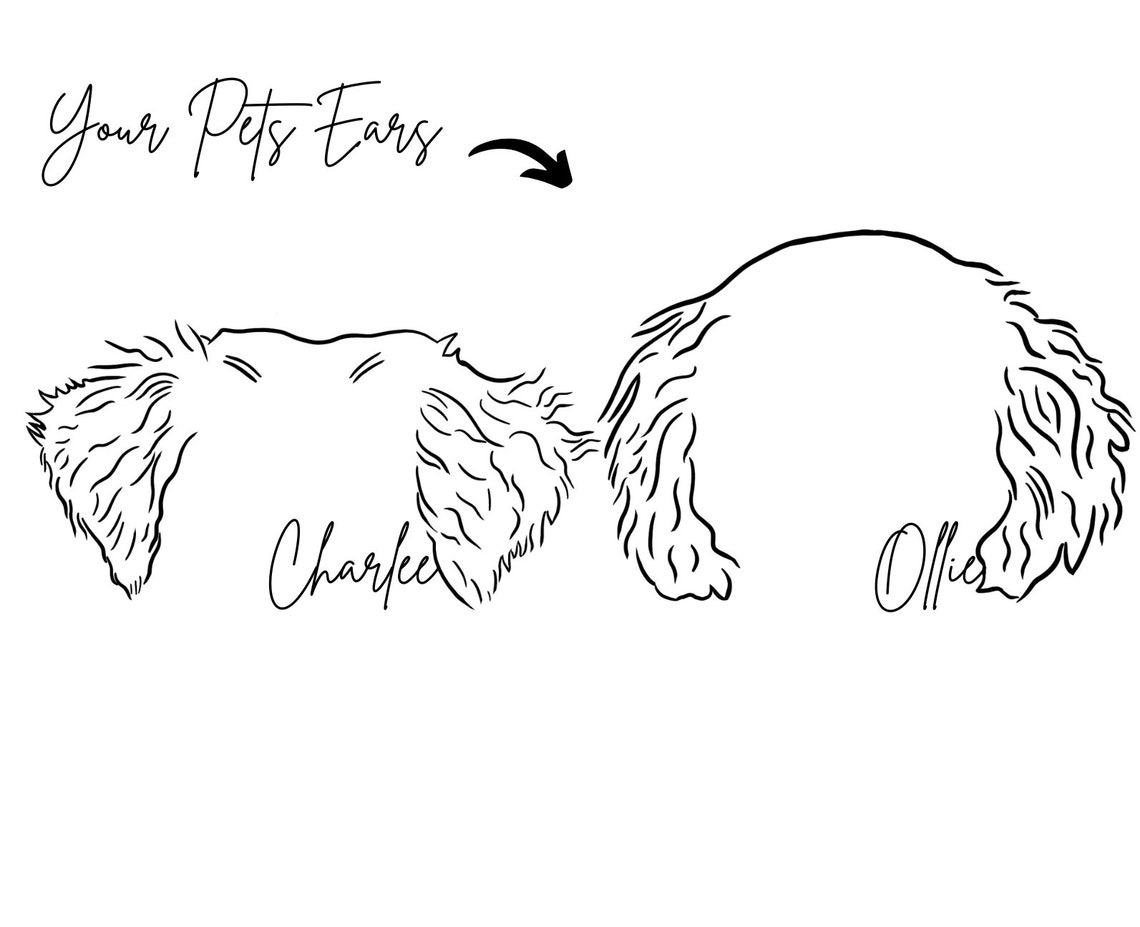Ear Outline Illustration Digital File Custom Pet Ear Outline Digital ...