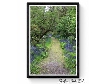 Garden Path Poster - Etsy
