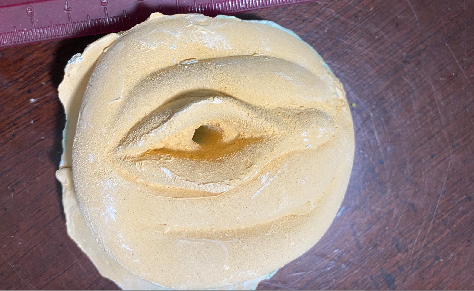 Real Vagina Erotic Art Plaster Cast Vagina Sculpture | Etsy