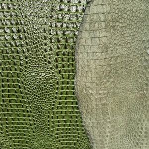 Embossed Alligator Print Cowhide Leather Green Color Thickness 1,4-1 ...
