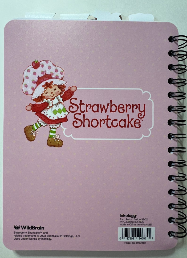 Strawberry Shortcake Tab Journal - Etsy