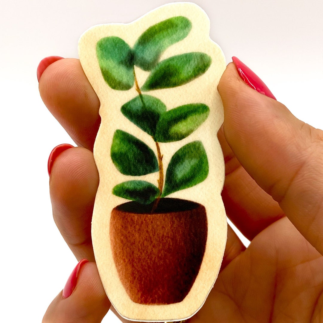 Fiddle Leaf Fig Sticker Plant Sticker Sticker for Laptops - Etsy