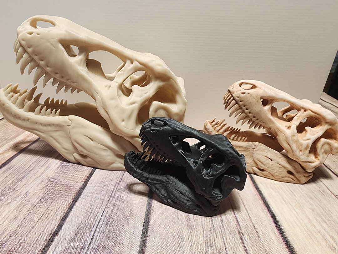 T-rex Replica Skull - Etsy