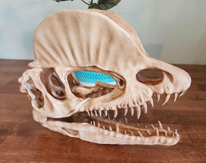 Dilophosaurus Replica Skull 3D Printed - Etsy