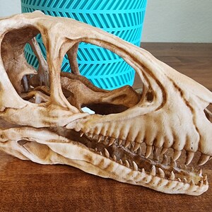 Deinonychus Replica Skull 3D Printed - Etsy