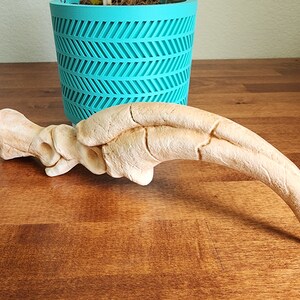 Velociraptor Replica Claw 3D Printed - Etsy