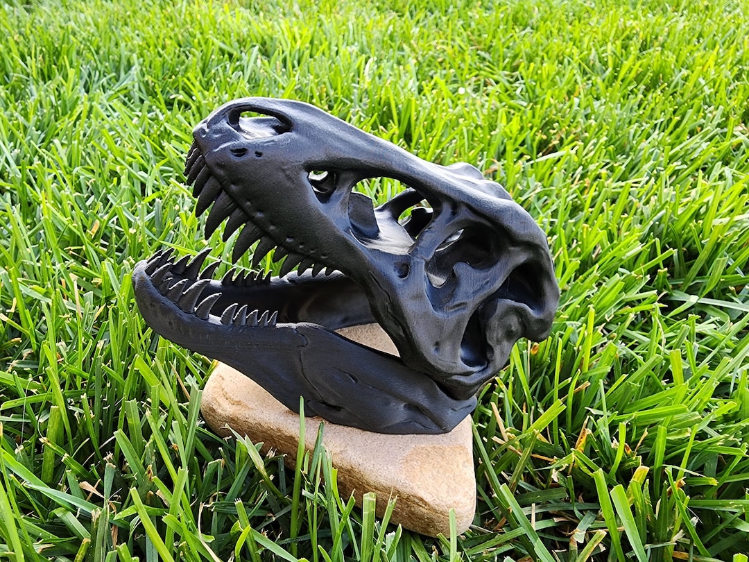 T-rex Replica Skull - Etsy