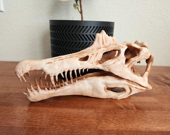 Spinosaurus Replica Skull 3D Printed - Etsy