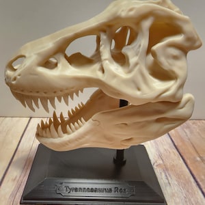 T-rex Replica Skull - Etsy