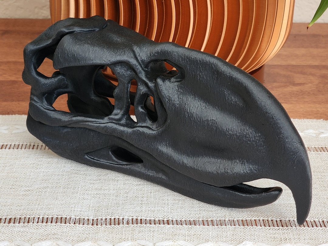 Phorusrhacos terror Bird Replica Skull 3D Printed - Etsy