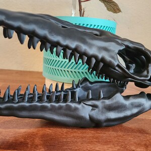 Mosasaurus Replica Skull 3D Printed - Etsy