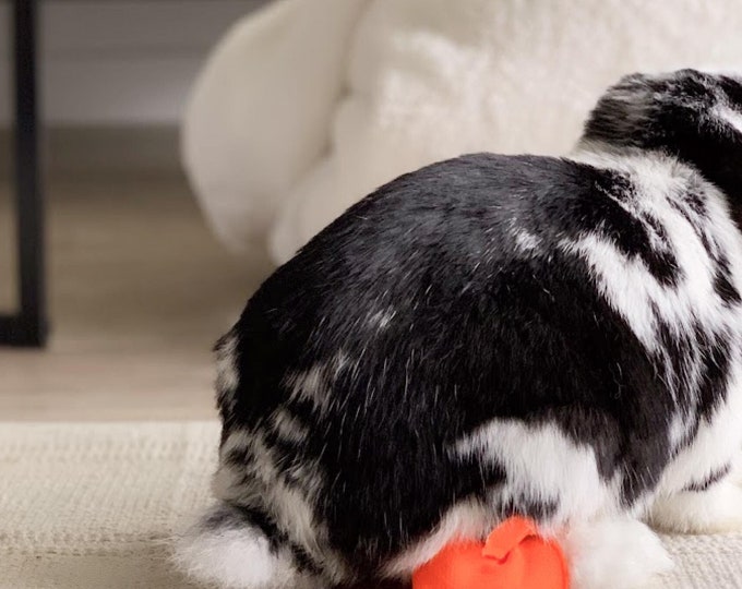 Rabbit Hay Feeder / Feeding Trough - Etsy