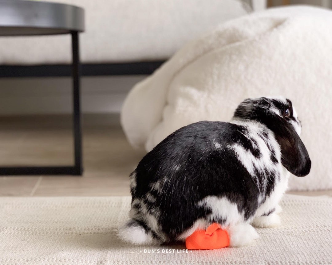 Bunny Hock Socks for Sore Hocks • Soft Padded Protection for Rabbits ...
