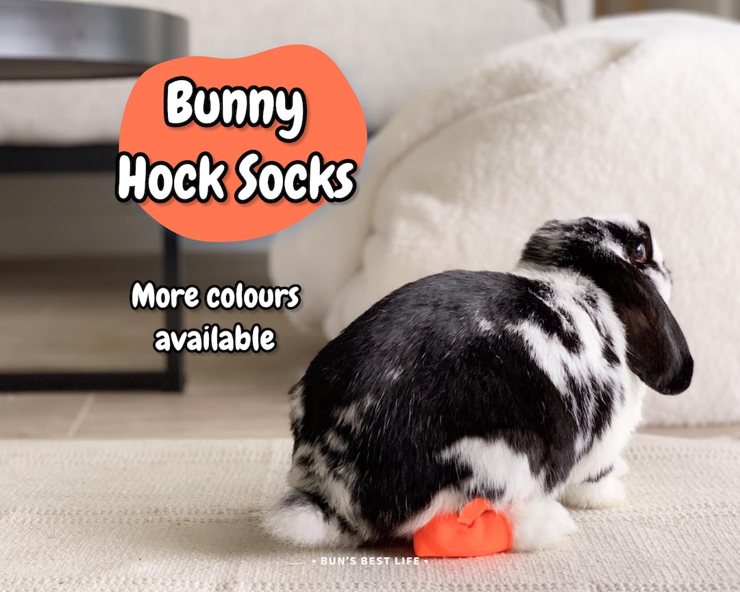 Bunny Hock Socks for Sore Hocks/pododermatitis/bumblefoot, Comfortable ...