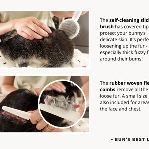 Bunny Grooming Kit Small Pets Rabbit Chinchilla Guinea Pig Brush Nail ...