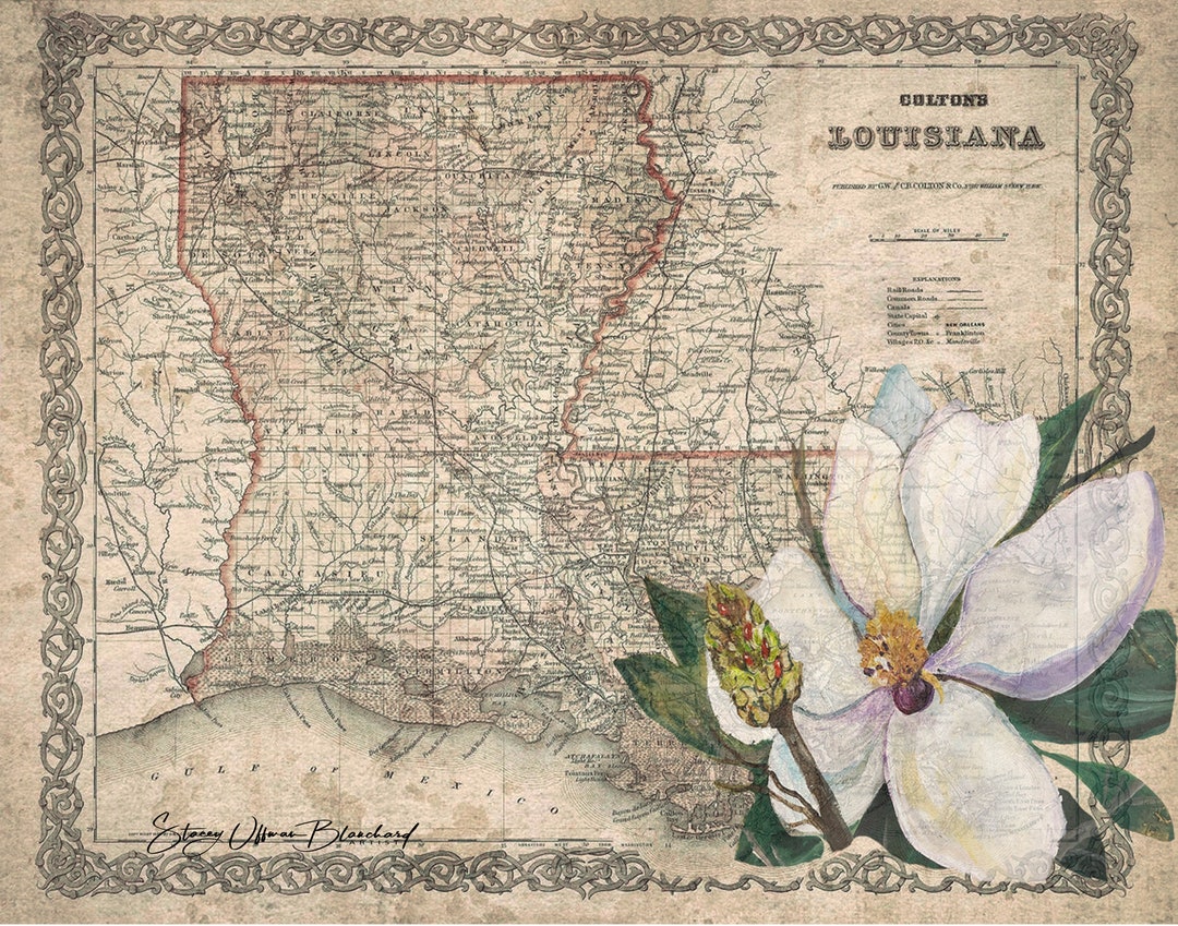 Louisiana Magnolia Map A Paper Print - Etsy