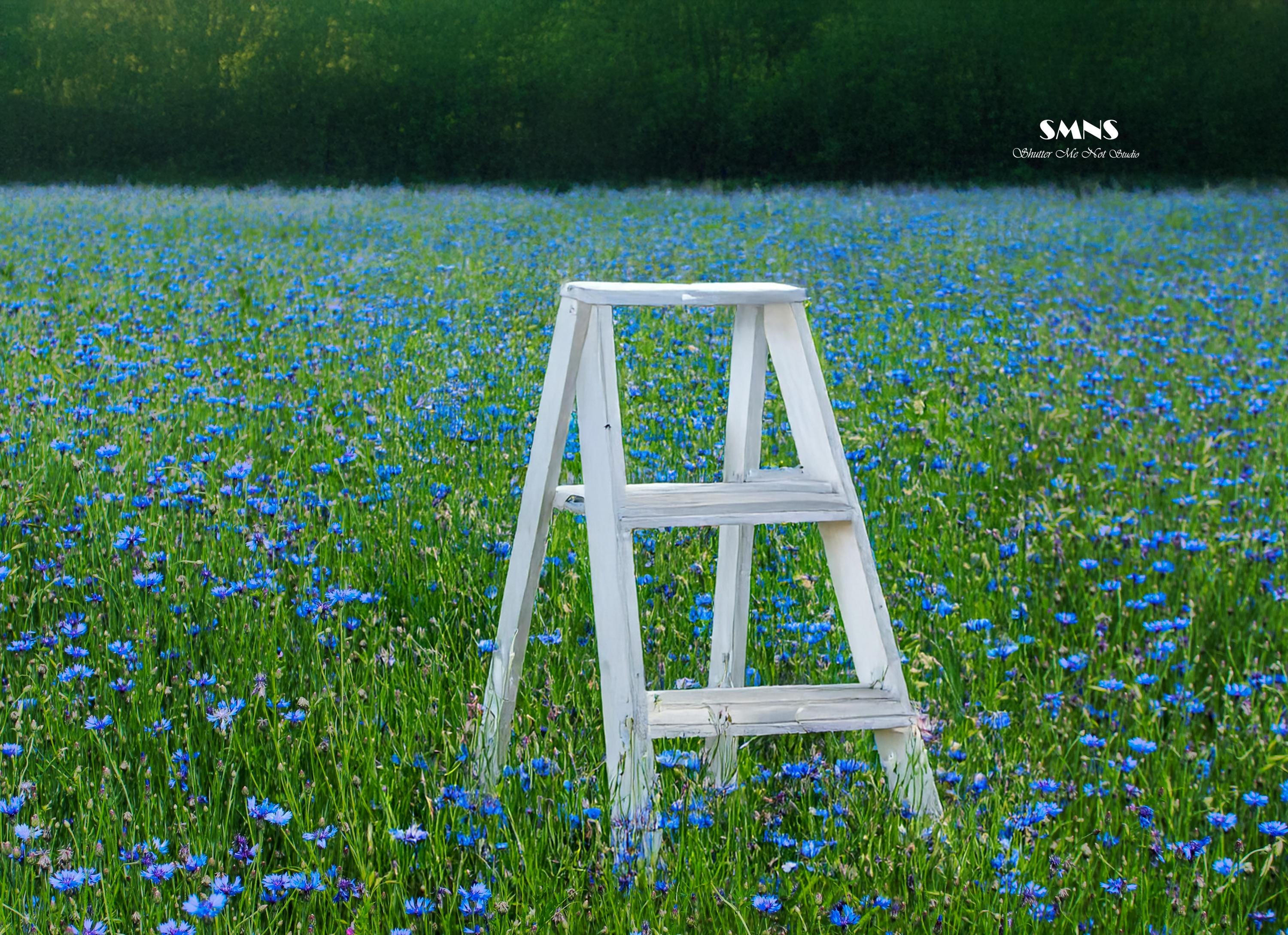 Blue Floral Ladder Digital Background - Photography Prop (digital ...