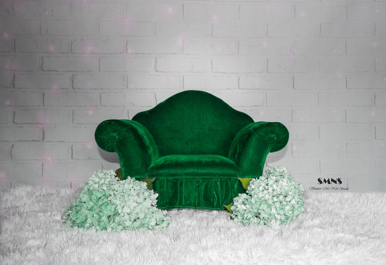 4 Chair and Hydrangeas Digital Background Newborn Background Digital ...