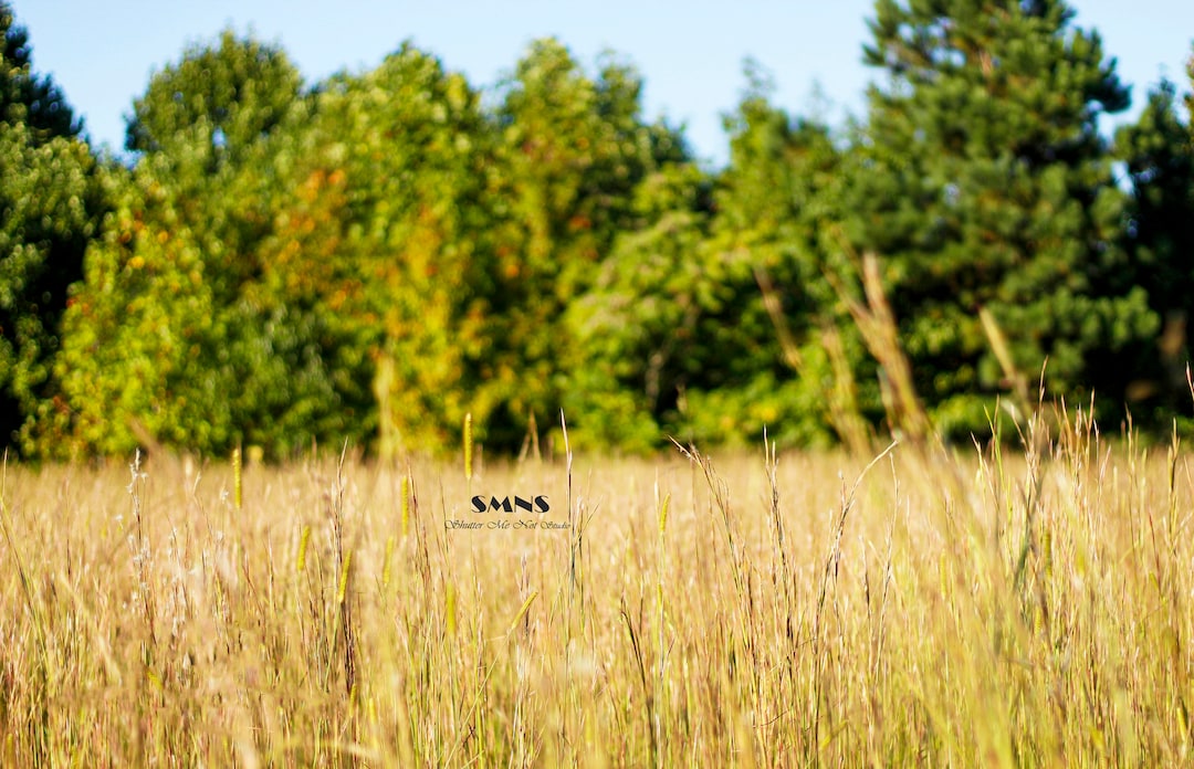 Tall Fall Grass Field Digital Background - Etsy