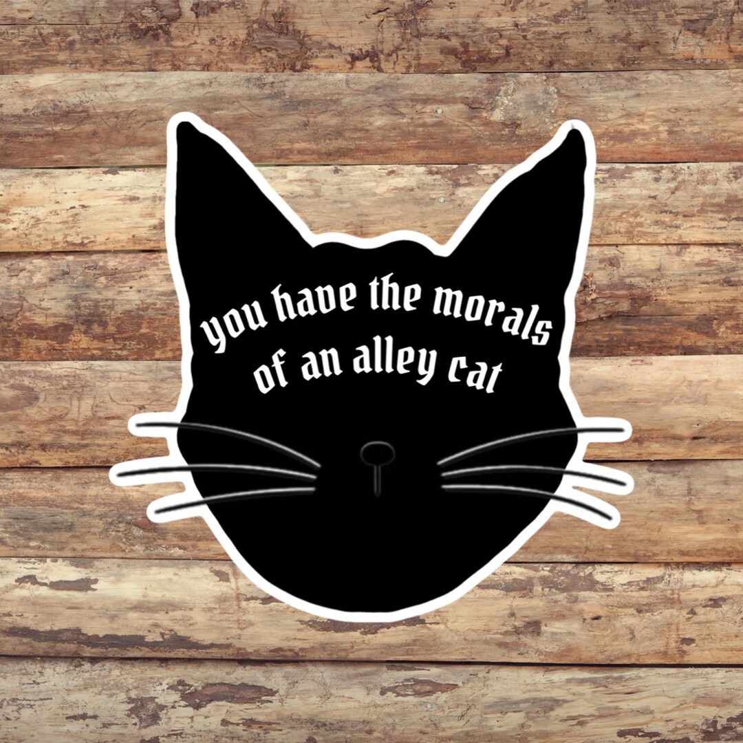 You Have the Morals of an Alley Cat Debate Sticker Democrat Sticker ...