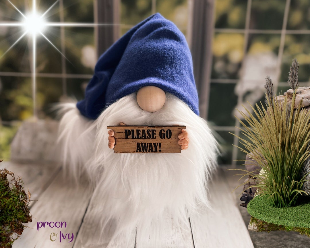 Unique Gnomes, Custom Gnomes, Funny Shelf Decor - Etsy