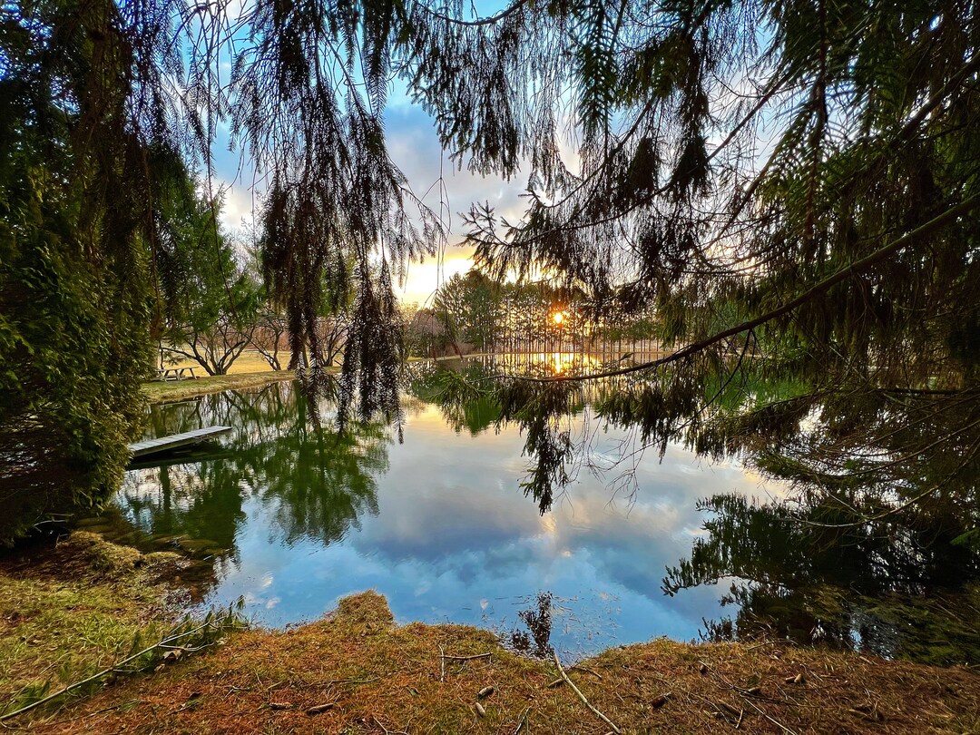 Country Pond View With Blue Water - Etsy