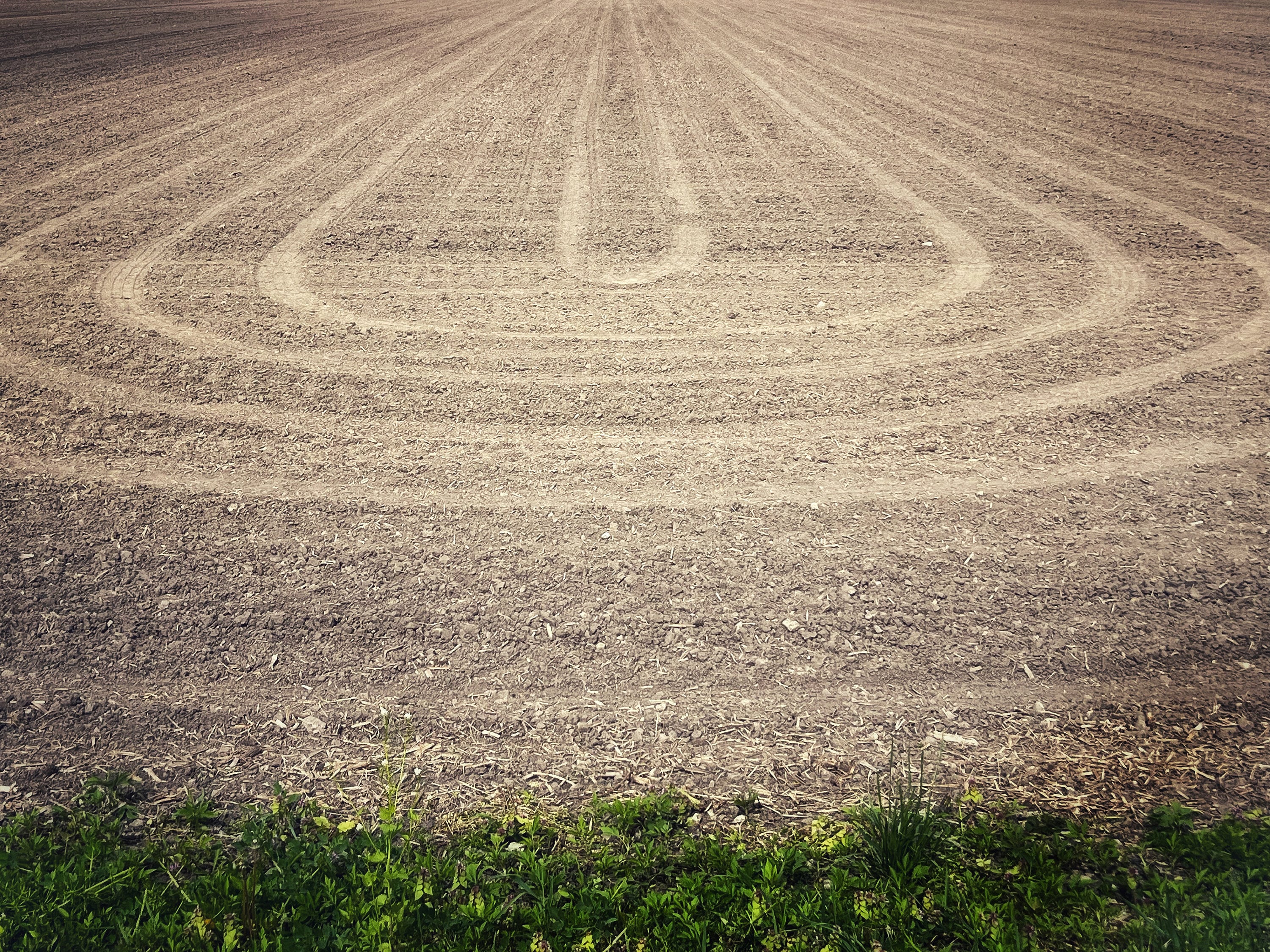 Farm Field Rows Clipart