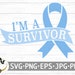 Prostate Cancer Survivor SVG, Prostate Cancer Awareness, Prostate ...
