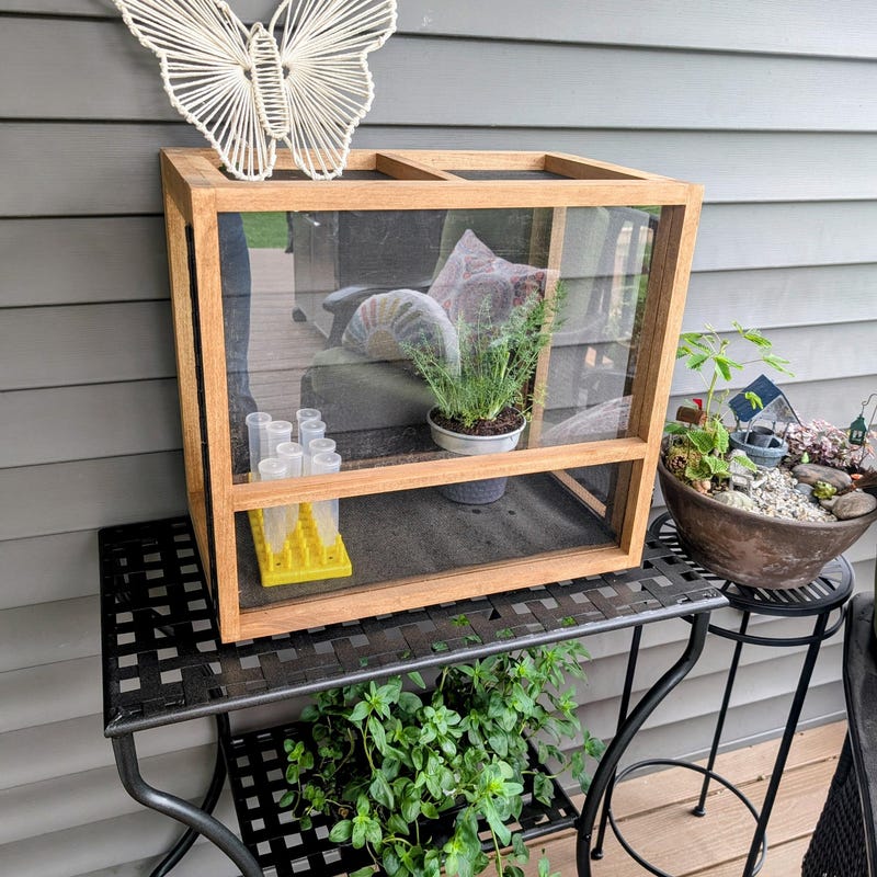 Butterfly House - Etsy