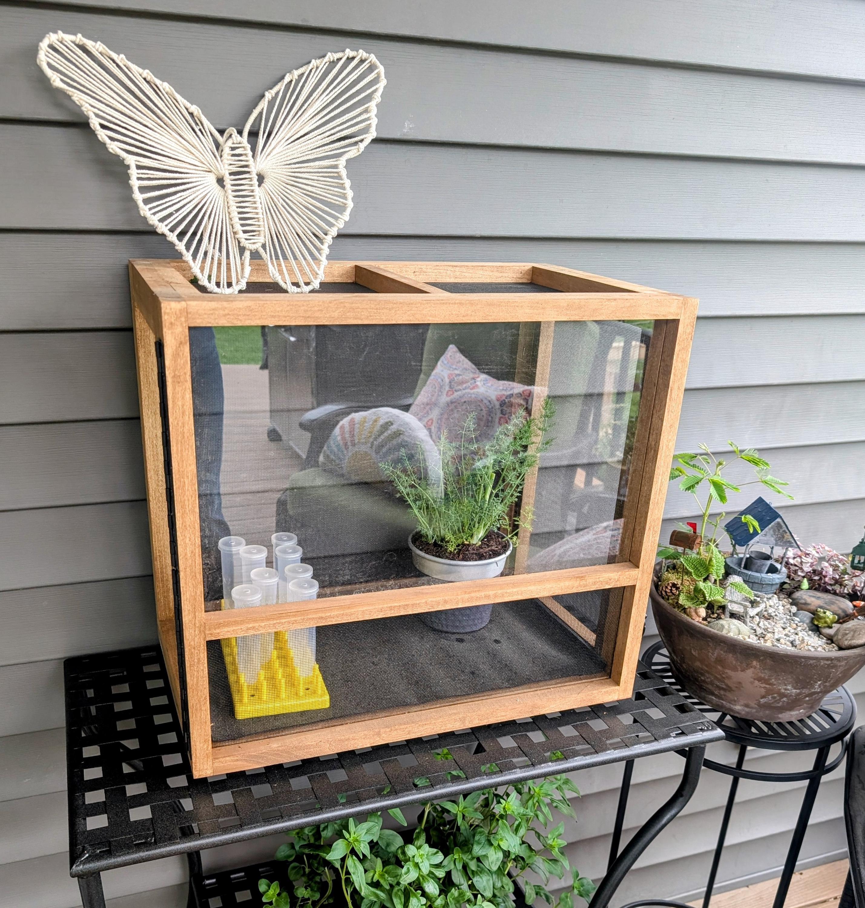 Large Monarch Butterfly Habitat, Caterpillar Rearing Cage, Wooden ...