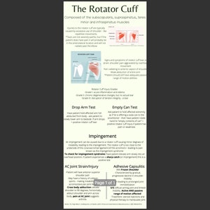 Nursing Orthopedic Bundle // Med-surg // NURSING STUDENT // Diagnoses ...