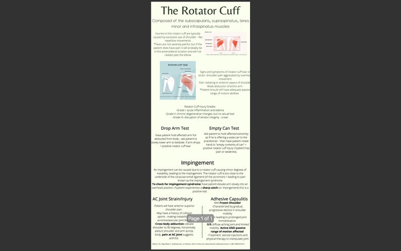 Nursing Orthopedic Bundle // Med-surg // NURSING STUDENT // Diagnoses ...