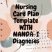 Comprehensive Nursing Care Plan Template With NANDA-I Diagnoses - Elevate Your Clinical Practice ...