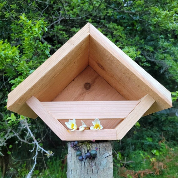 Mourning Dove Nesting Box and Bird House | Etsy