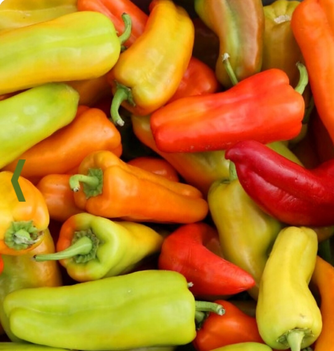 Cubanel Sweetheirloom Pepper Seeds - Etsy