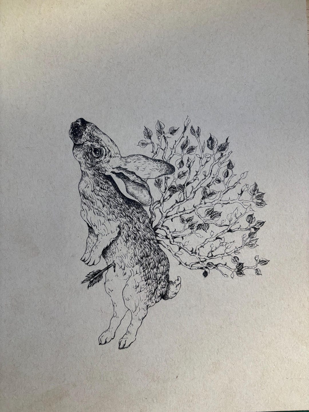 Pierced Rabbit Original Ink Print - Etsy