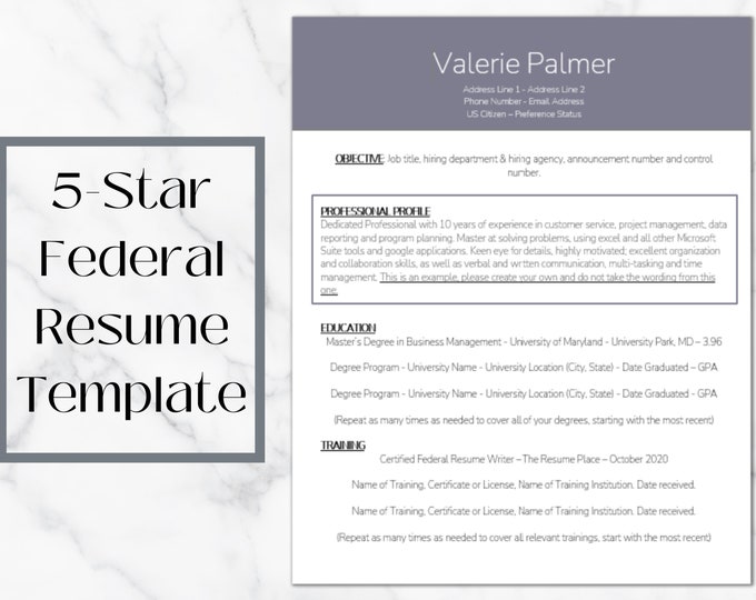 Ats Friendly US Federal Resume Template Google Docs 2024 | Government ...